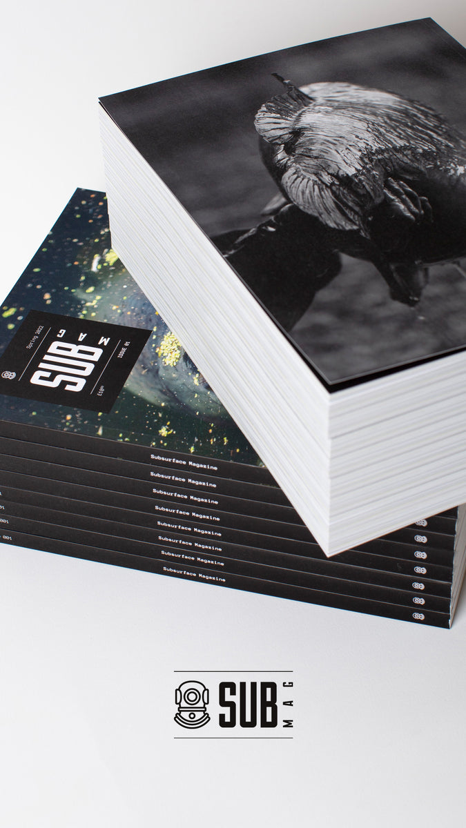 PRINT – Subsurface Journal